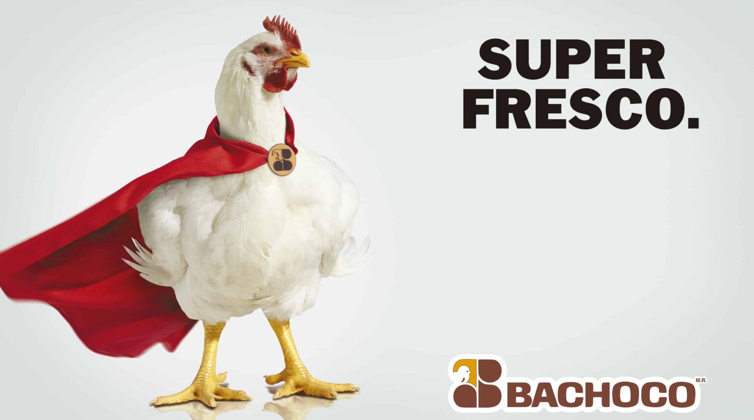 La compañía Bachoco tendrá una inversión de 2,000 millones de pesos ...