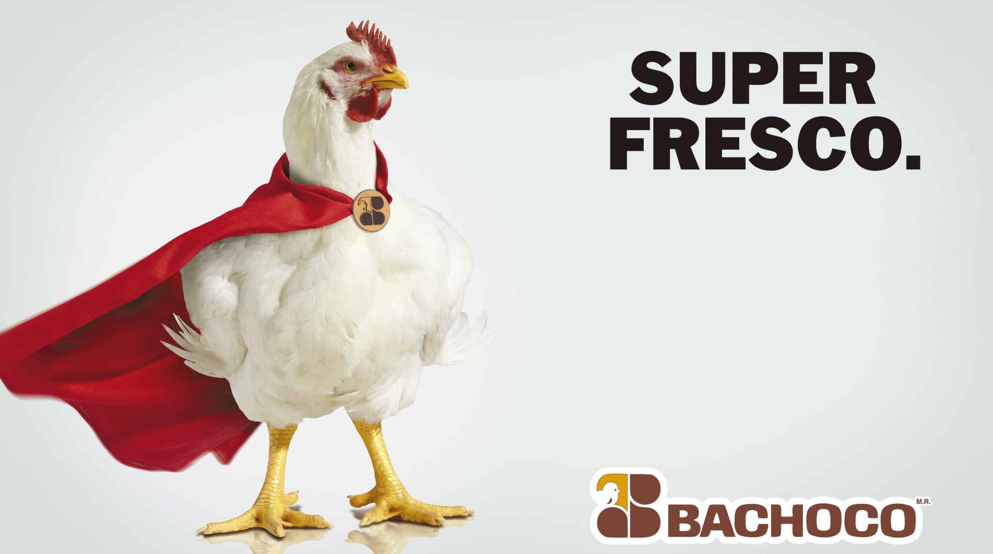 La compañía Bachoco tendrá una inversión de 2,000 millones de pesos ...